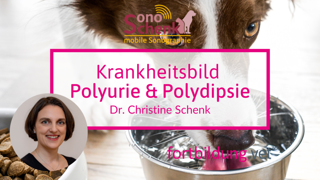 Krankheitsbild Polyurie & Polydipsie - fortbildung.vet - Fortbildung ...