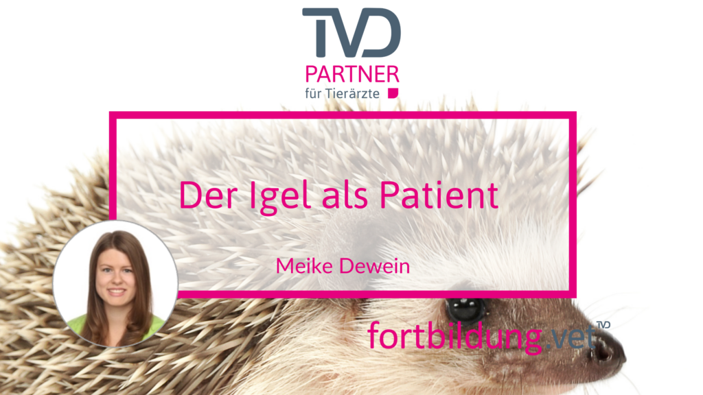 Der Igel als Patient - fortbildung.vet - Fortbildung für Tierärzte ...