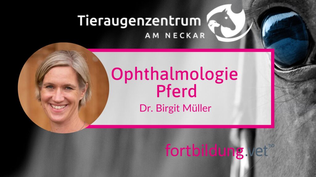 Ophthalmologie Pferd – fortbildung.vet – Fortbildung für Tierärzte & TFA | ATF-Stunden einfach ...