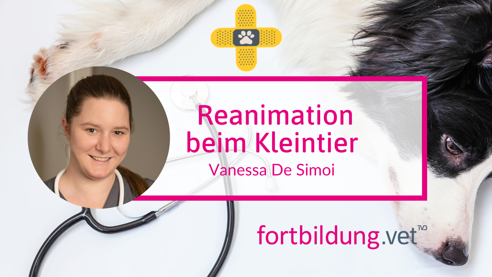 Reanimation - fortbildung.vet - Fortbildung für Tierärzte & TFA | ATF ...