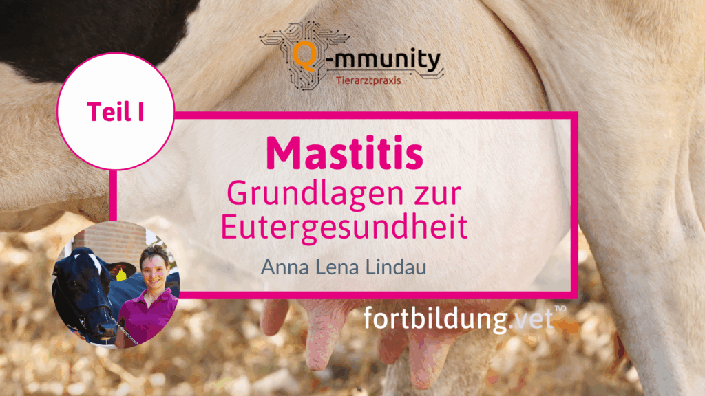 Mastitis Teil I - fortbildung.vet - Fortbildung für Tierärzte & TFA ...