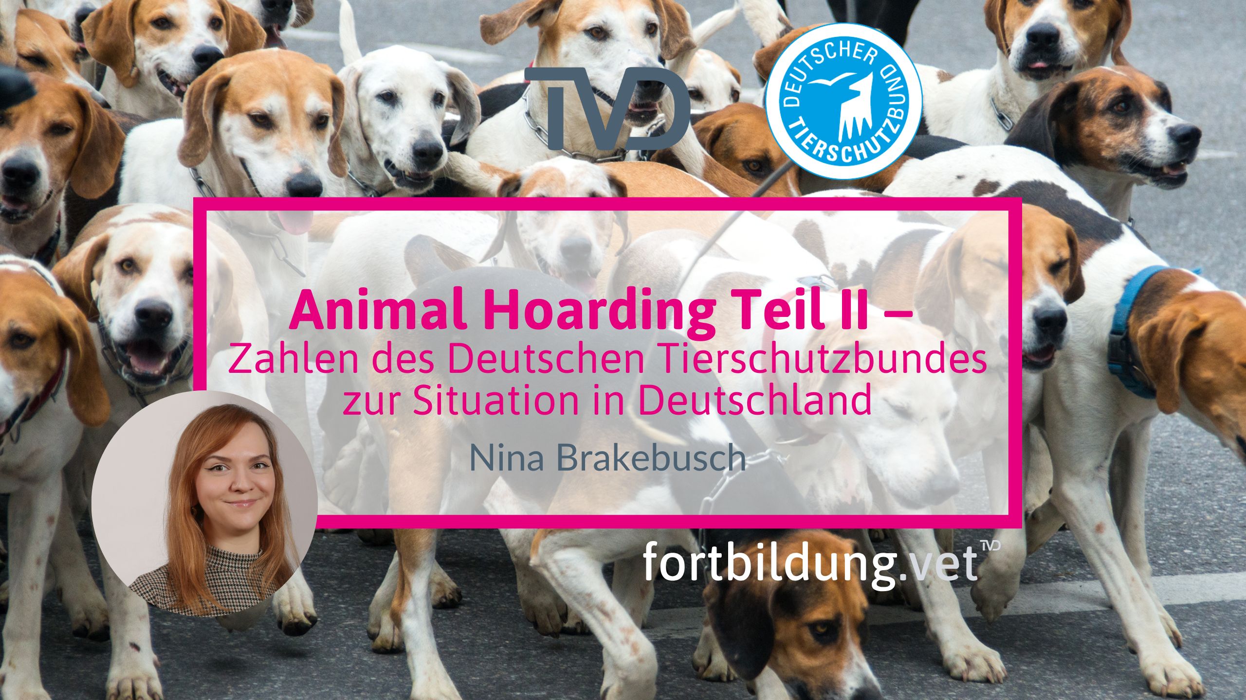 Animal Hoarding Teil II - fortbildung.vet - Fortbildung für Tierärzte ...